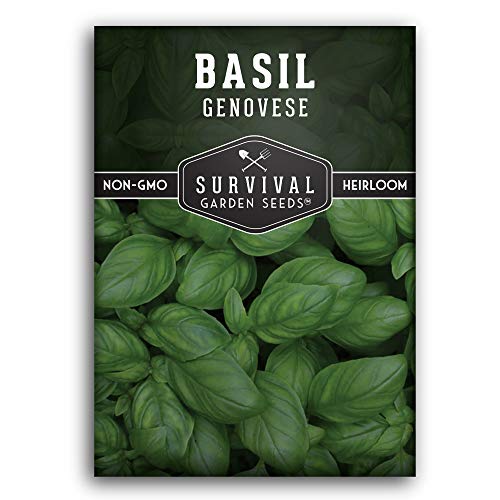 Survival Garden Seeds - Genovese Basil Seed for Planting - Packet with Instructions to Plant and Grow Delicious Italian Herbs in Your Home Vegetable Garden - Non-GMO Heirloom Variety