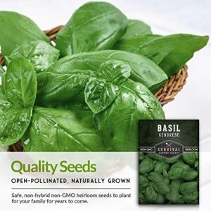 Survival Garden Seeds - Genovese Basil Seed for Planting - Packet with Instructions to Plant and Grow Delicious Italian Herbs in Your Home Vegetable Garden - Non-GMO Heirloom Variety