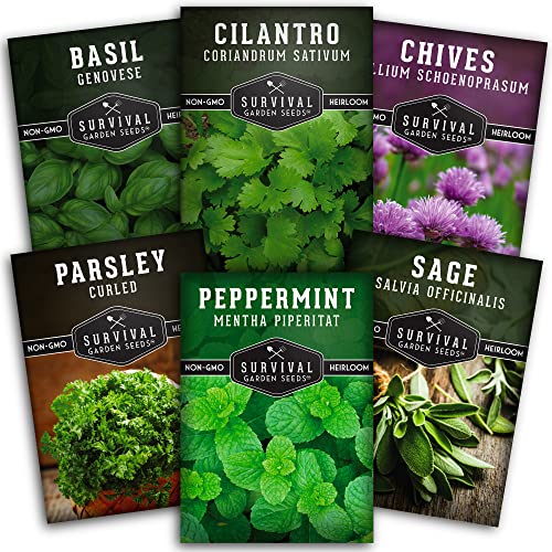 Hydroponics Herb Seed Collection for Planting - Curled Parsley, Sage, Chives, Peppermint, Cilantro & Genovese Basil Herbs for Any Indoor Gardening System- Non-GMO Heirloom Survival Garden Seeds