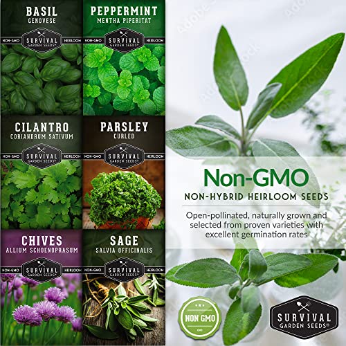 Hydroponics Herb Seed Collection for Planting - Curled Parsley, Sage, Chives, Peppermint, Cilantro & Genovese Basil Herbs for Any Indoor Gardening System- Non-GMO Heirloom Survival Garden Seeds