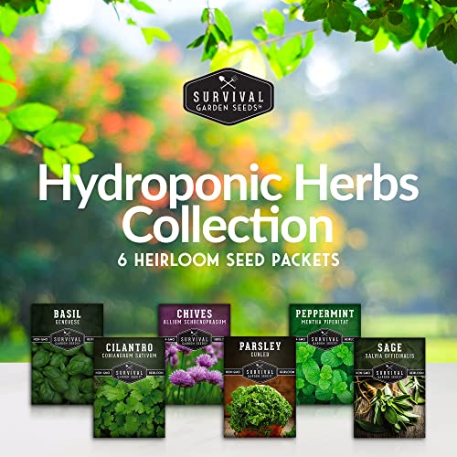 Hydroponics Herb Seed Collection for Planting - Curled Parsley, Sage, Chives, Peppermint, Cilantro & Genovese Basil Herbs for Any Indoor Gardening System- Non-GMO Heirloom Survival Garden Seeds