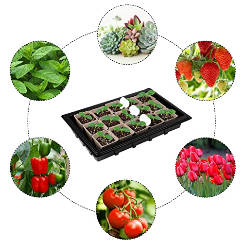 Aodaer 247 Pack Seed Starter Kit Including Peat Pots for Seedlings Seed Starter Tray with Plant Labels, Tool, Plastic Growing Trays Germination Tray Paper Seedling Cups for Indoor Outdoor Garden