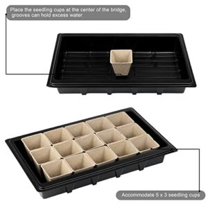 Aodaer 247 Pack Seed Starter Kit Including Peat Pots for Seedlings Seed Starter Tray with Plant Labels, Tool, Plastic Growing Trays Germination Tray Paper Seedling Cups for Indoor Outdoor Garden