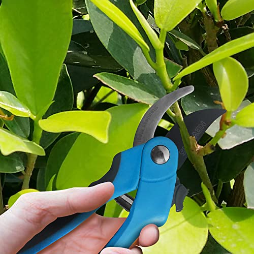 Nevlers 8" Bypass Pruning Shears for Gardening | Garden Shears with Stainless Steel Blades & 8mm Cutting Capacity| Professional Garden Scissors | Heavy Duty Gardening Hand Tools |Blue Gardening Shears