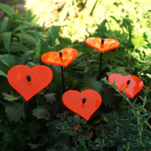 SunCatcher Garden Decor Ornaments Hearts, Set of 5 Decorative Garden Stakes, 25cm/10'' high Outdoor Yard Accessory, Great Gardeners Gift, Colour:Fluorescent Red