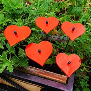 SunCatcher Garden Decor Ornaments Hearts, Set of 5 Decorative Garden Stakes, 25cm/10'' high Outdoor Yard Accessory, Great Gardeners Gift, Colour:Fluorescent Red