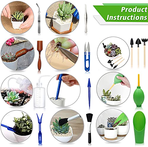 Succulent Tools, Mini Garden Tool Set, Transplanting Tools Set, Succulent Care kit for Succulent Miniature Gardening Plant, Multi, 13 Pcs