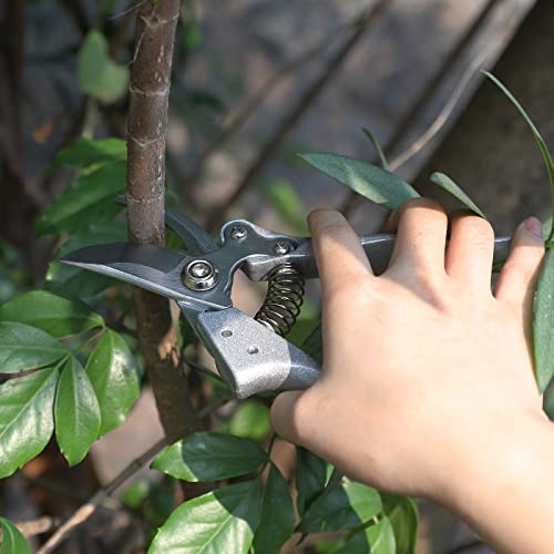 JOYFUL&HOPEFUL Bypass Pruning Shear, Garden Shear Pruner with Precision Blade for Gardening,Trimming Plant Tree Flower