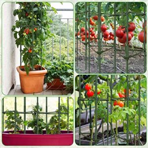 Canmilar 3 Pack Tomato Cages,Up to 51inch Plant Stakes Vegetable Trellis Assembledfor Garden Climbing Plants Vegetables Flowers