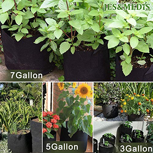 JES&MEDIS 12-Pack 3 Gallon Plant Grow Bags Thick Aeration Non Woven Fabric Flower Vegetable Pots with Handles Garden Container Black (3 Gallon_12 Pack)