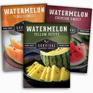 survival garden seeds tri-color watermelon collection seed vault – non-gmo heirloom mix for planting juicy watermelons – yellow petite, crimson sweet (red), & tendersweet orange varieties