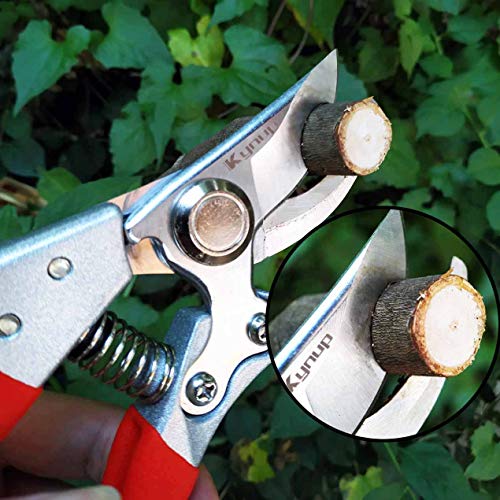 Kynup Pruning Shears for Gardening, Garden Shears Heavy Duty, Professional Bypass Pruner Hand Shears, Tree Trimmers Secateurs, Garden Clippers for Plants, Hedge Shears, Garden Tools (Red)