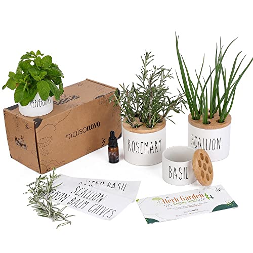 MaisoNovo Regrow Indoor Herb Garden Starter Kit for Kitchen Counter & Windowsill | Herb Garden Kit Indoor for Growing Fresh Herbs from Scraps in Water | Set of 4 Pods