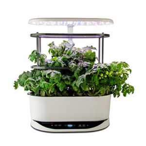 AeroGarden Trellis System (for 2019 Bounty Models), Black