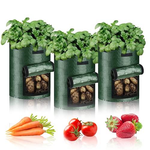 10 Gallon Plant Grow Bags-3 Packs, Fabric Grow Pots for Strawberry Potato Tomato Carrot & Other Vegetable, Heavy Duty Thickened Garden Growing Bags with Window and Handles (Dark Green)