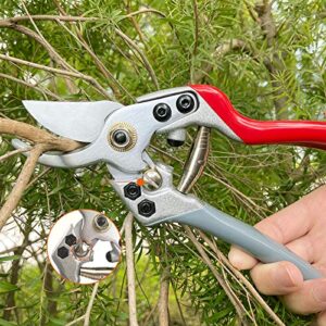 Pruning Shears, Garden Clippers Plant Scissors Professional Bypass Pruner Tree Branch Cutter Plant Trimming Scissors 2 PCS Red