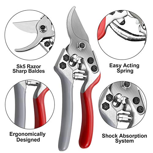 Pruning Shears, Garden Clippers Plant Scissors Professional Bypass Pruner Tree Branch Cutter Plant Trimming Scissors 2 PCS Red