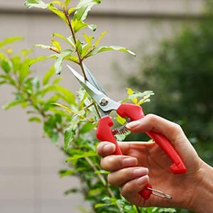 Pruning Shears, Garden Clippers Plant Scissors Professional Bypass Pruner Tree Branch Cutter Plant Trimming Scissors 2 PCS Red