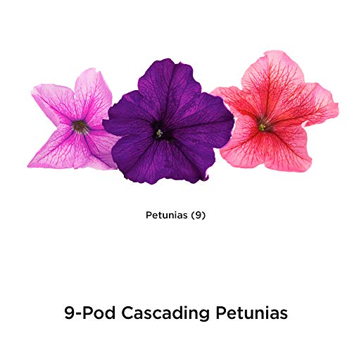 AeroGarden Cascading Petunias Seed Pod Kit for AeroGarden Hydroponic Indoor Garden, 9-Pod