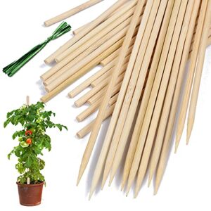 bamboo plant stakes,hainanstry wood plant supports,natural bamboo sticks for plants/floral/potted plant,wooden sign posting garden sticks – 16 inches 25 pack