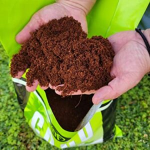 Coco Coir Premium RHP Certified Pre Buffered Pure Organic Coconut Coir Fiber Plant Grow Potting Soil 9 Quarts / 10 Liter / 2.6 Gallon Indoor/Outdoor Flower Vegetable Garden