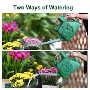 Watering Can for Indoor Outdoor Plants Garden Flower, 1.5 Gallon Modern Plastic Watering Cans with Removable Nozzle and Long Spout Ideal for Succulents, Outdoor, Gardening, Green