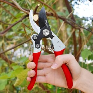 Garden Pruners, Heavy Duty Gardening Scissors Pruning Shears with Adjustable Thumb Lock, Handheld Gardening Tools Pruner, Stainless Steel Sharp Pruner Secateur (MJ001)