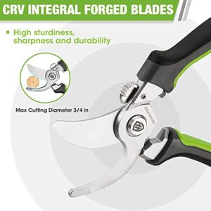 WORKPRO Garden Bypass Pruning Shears, 8.5" Garden Pruning Scissors with CRV Integral Forged Blades, Garden Clippers Hand Tools for Cutting and Trimming Bonsai, Branch, Herb, Rose, Flower