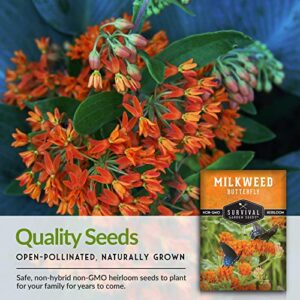 Butterfly Milkweed Seeds for Planting - 3 Packs with Instructions to Grow Asclepias Tuberosa - Attract Butterflies & Help Conservation - Non-GMO Heirloom Open-Pollinated - Survival Garden Seeds