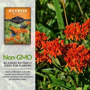 Butterfly Milkweed Seeds for Planting - 3 Packs with Instructions to Grow Asclepias Tuberosa - Attract Butterflies & Help Conservation - Non-GMO Heirloom Open-Pollinated - Survival Garden Seeds