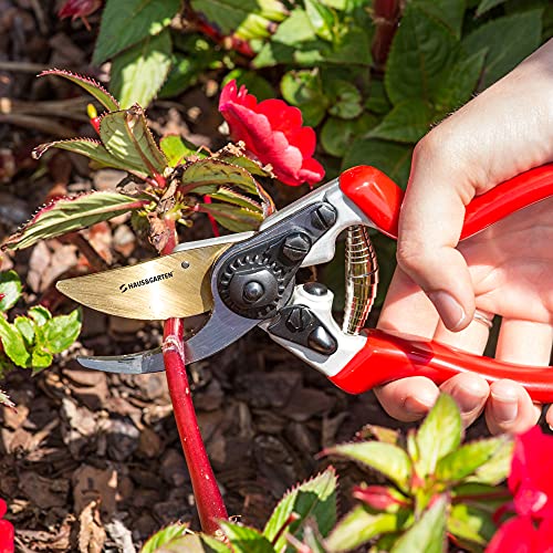 EnduroPRO Titanium Pruning Shears - Best Garden Shears, Tree Trimmer, Hand Pruner-Ideal Branch, Hedge, Shrub & Bush Clippers-Razor Sharp Bypass Secateurs Ergonomic Gardening Tool for Effortless Cuts