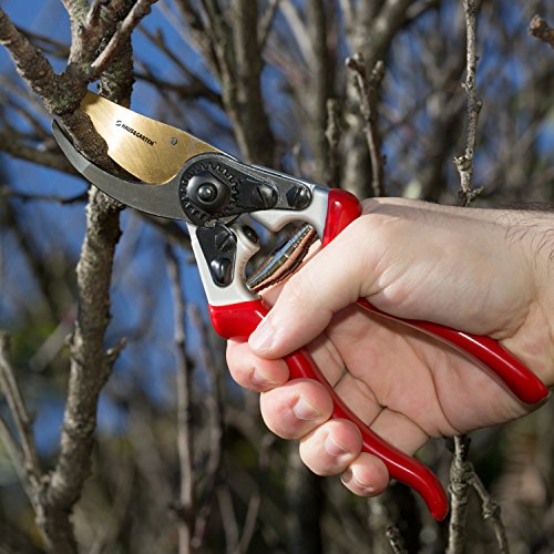 EnduroPRO Titanium Pruning Shears - Best Garden Shears, Tree Trimmer, Hand Pruner-Ideal Branch, Hedge, Shrub & Bush Clippers-Razor Sharp Bypass Secateurs Ergonomic Gardening Tool for Effortless Cuts