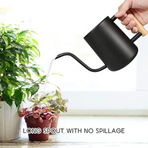 Watering Can Indoor Plants, 35 oz/1000 ml Metal Stainless Steel Watering Can Pot with Long Spout for Indoor House Plants Bonsai Outdoor Garden Flower Decorative (Black)