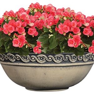 Classic Home and Garden Corinthian Bowl 12" Planter, Cast Concrete