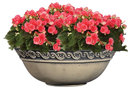 Classic Home and Garden Corinthian Bowl 12" Planter, Cast Concrete