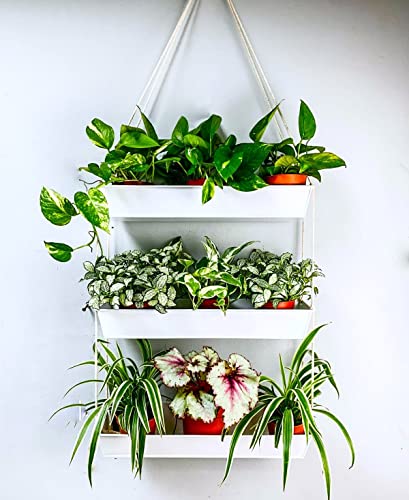 LaLaGreen Hanging Wall Planter - 16 Inch Three Tier Plant Hanger for Succulent Indoor Herb Planter Modern White Boho Metal Wall Plant Holder Decor, Vertical Garden Hanging Planter Shelf Large Outdoor