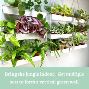 LaLaGreen Hanging Wall Planter - 16 Inch Three Tier Plant Hanger for Succulent Indoor Herb Planter Modern White Boho Metal Wall Plant Holder Decor, Vertical Garden Hanging Planter Shelf Large Outdoor