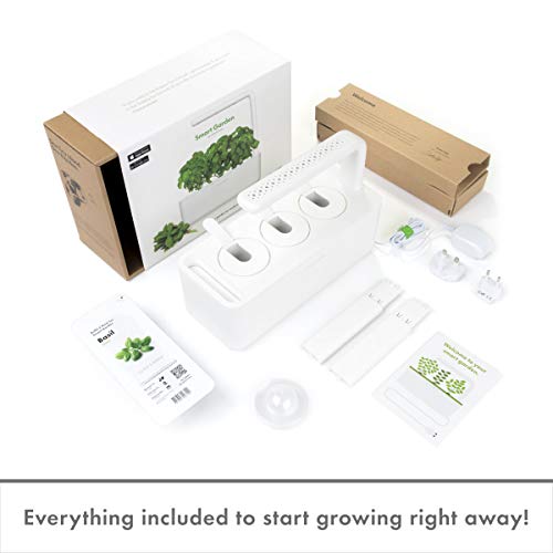 Click & Grow Indoor Herb Garden Kit with Grow Light | Smart Garden for Home Kitchen Windowsill | Easier Than Hydroponics Growing System | Vegetable Gardening Starter (3 Basil Pods Included), Beige