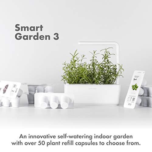 Click & Grow Indoor Herb Garden Kit with Grow Light | Smart Garden for Home Kitchen Windowsill | Easier Than Hydroponics Growing System | Vegetable Gardening Starter (3 Basil Pods Included), Beige