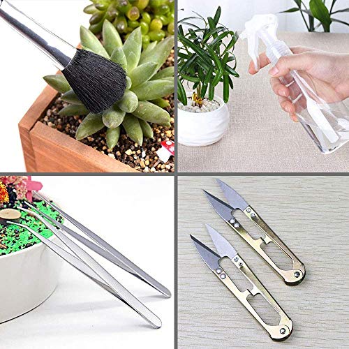 SONGZIMING 15 Pcs Succulent Plant Tools Set, Mini Garden Planting Watering Tool Kit for Succulent Miniature Gardening Plant Care