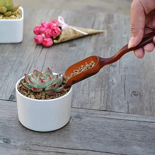 SONGZIMING 15 Pcs Succulent Plant Tools Set, Mini Garden Planting Watering Tool Kit for Succulent Miniature Gardening Plant Care