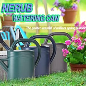 Watering Can 1 Gallon for Indoor Plants, Garden Watering Cans Outdoor Plant House Flower, Gallon Watering Can Large Long Spout with Sprinkler Head (Grey)