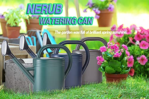 Watering Can 1 Gallon for Indoor Plants, Garden Watering Cans Outdoor Plant House Flower, Gallon Watering Can Large Long Spout with Sprinkler Head (Grey)