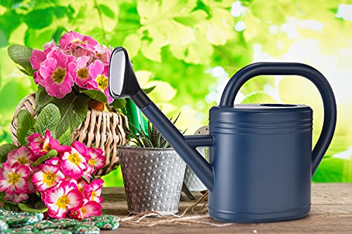 Watering Can 1 Gallon for Indoor Plants, Garden Watering Cans Outdoor Plant House Flower, Gallon Watering Can Large Long Spout with Sprinkler Head (Grey)