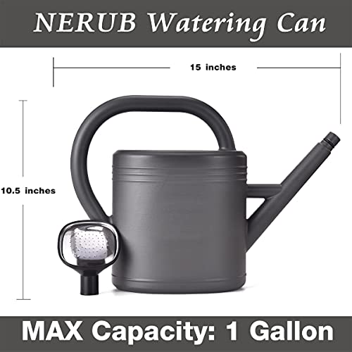 Watering Can 1 Gallon for Indoor Plants, Garden Watering Cans Outdoor Plant House Flower, Gallon Watering Can Large Long Spout with Sprinkler Head (Grey)