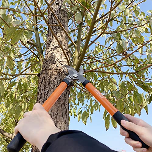 SHIND Bypass Lopper Lightweight and durable garden Clippers and Manual heavy-duty trimmer Set, Strength Saving Hardwearing Garden Shears Suitable for potted plant, flower, branch trimming up to 380mm