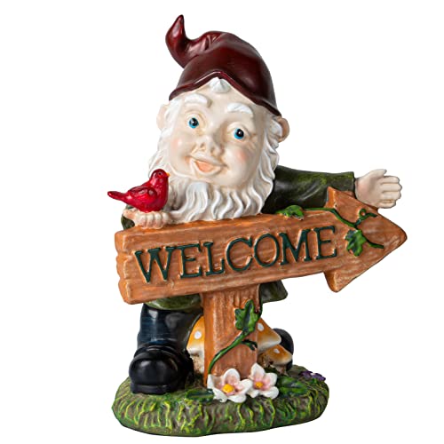 LATIJISHI Funny Garden Gnomes for Yard, Large Gnome Garden Decorations, 8.75" Gnomes Statues and Figurines Outdoor with Bird for Lawn