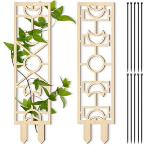 yalikop 2 pieces wooden small indoor trellis plant trellis climbing plants hexagon trellis potted plants trellis vine supports garden trellises 10 pieces black cable ties plant (moon)