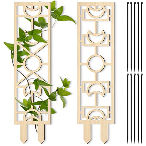 Yalikop 2 Pieces Wooden Small Indoor Trellis Plant Trellis Climbing Plants Hexagon Trellis Potted Plants Trellis Vine Supports Garden Trellises 10 Pieces Black Cable Ties Plant (Moon)