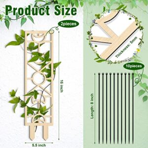 Yalikop 2 Pieces Wooden Small Indoor Trellis Plant Trellis Climbing Plants Hexagon Trellis Potted Plants Trellis Vine Supports Garden Trellises 10 Pieces Black Cable Ties Plant (Moon)